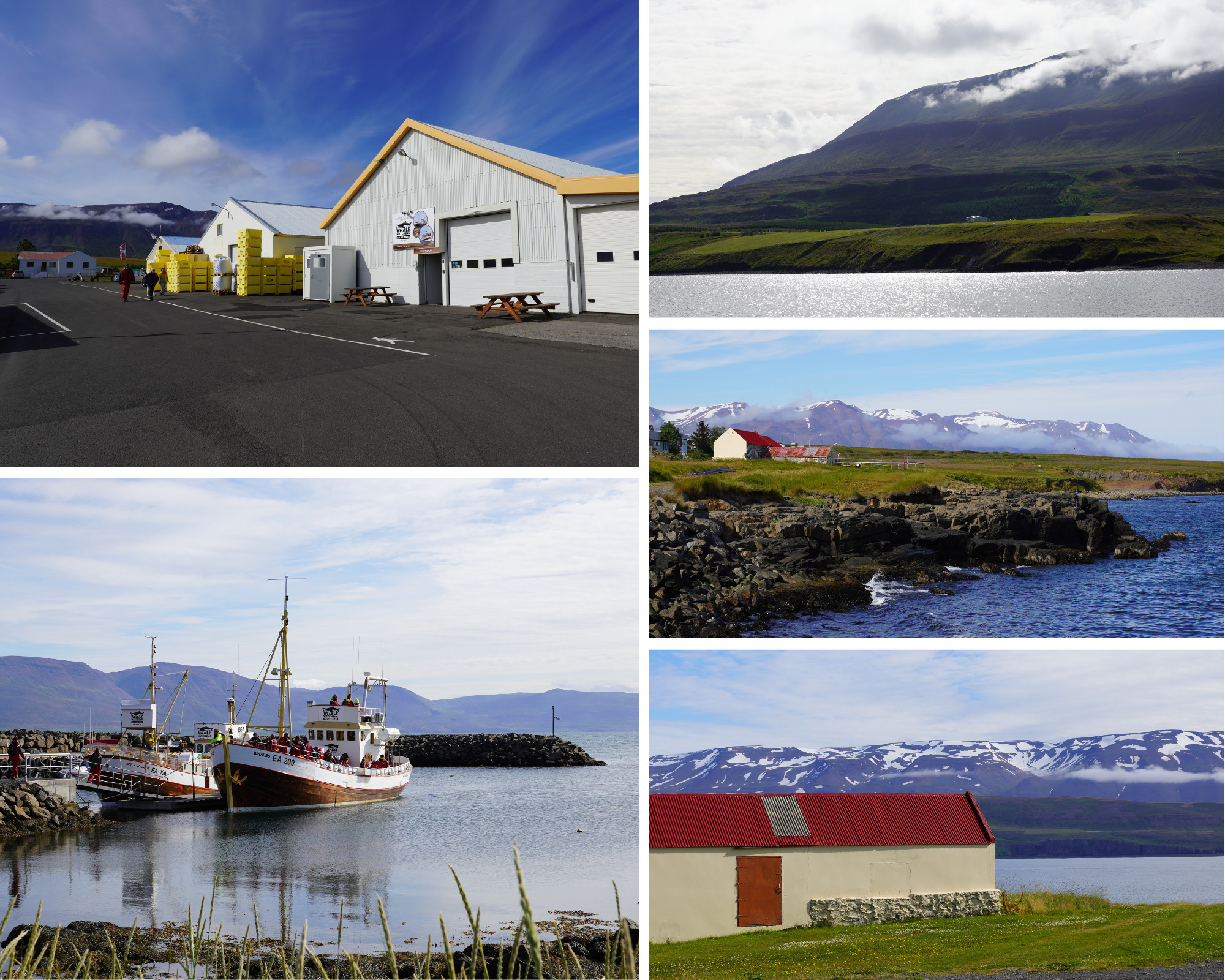 Unleashing the Beauty of Northern Iceland - globetrotting.pro